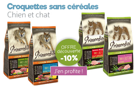 Albert le chien : produit naturel et bio pour chien et chat